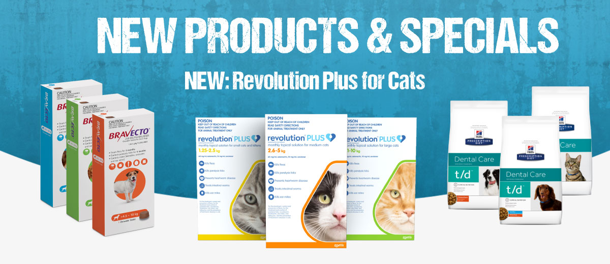 New: Revolution PLUS for Cats 🐱 + Save on Bravecto Dog 🐾